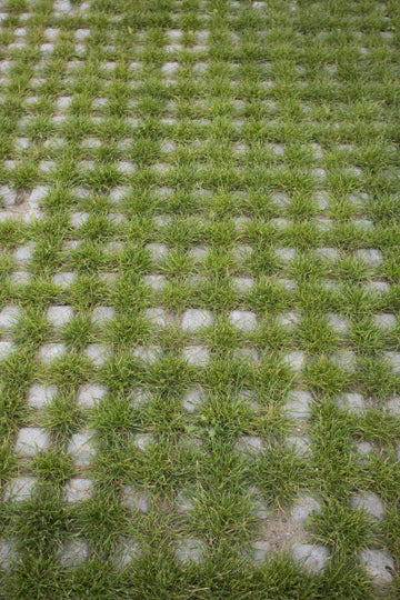Firth Permeable pavers – Citi Landscape Supplies